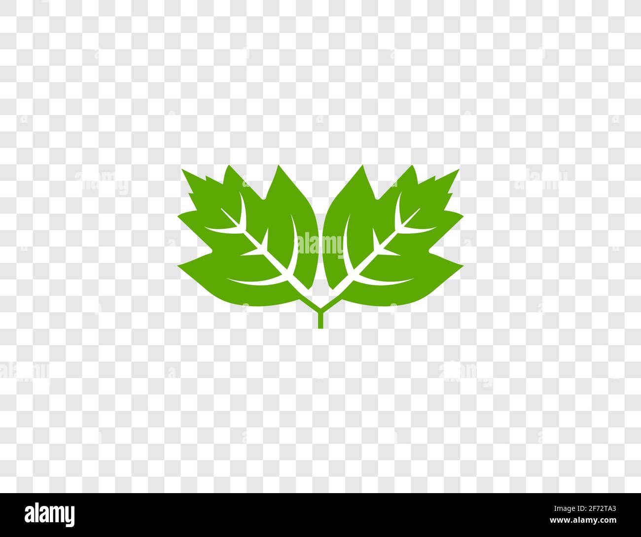 Green leaf, Eco icon on transparent background. Vector illustration ...