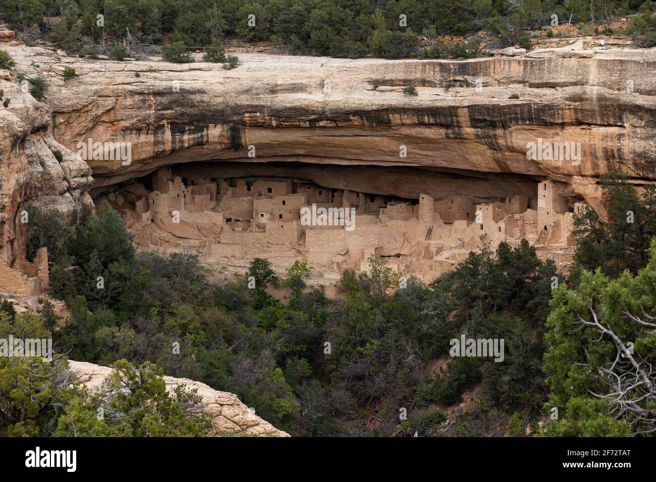 Cliff Palace at Mesa Verde National Park, Colorado Stock Photo - Alamy
