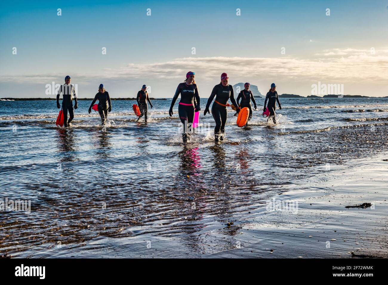 Uk bass swimming hi-res stock photography and images - Alamy