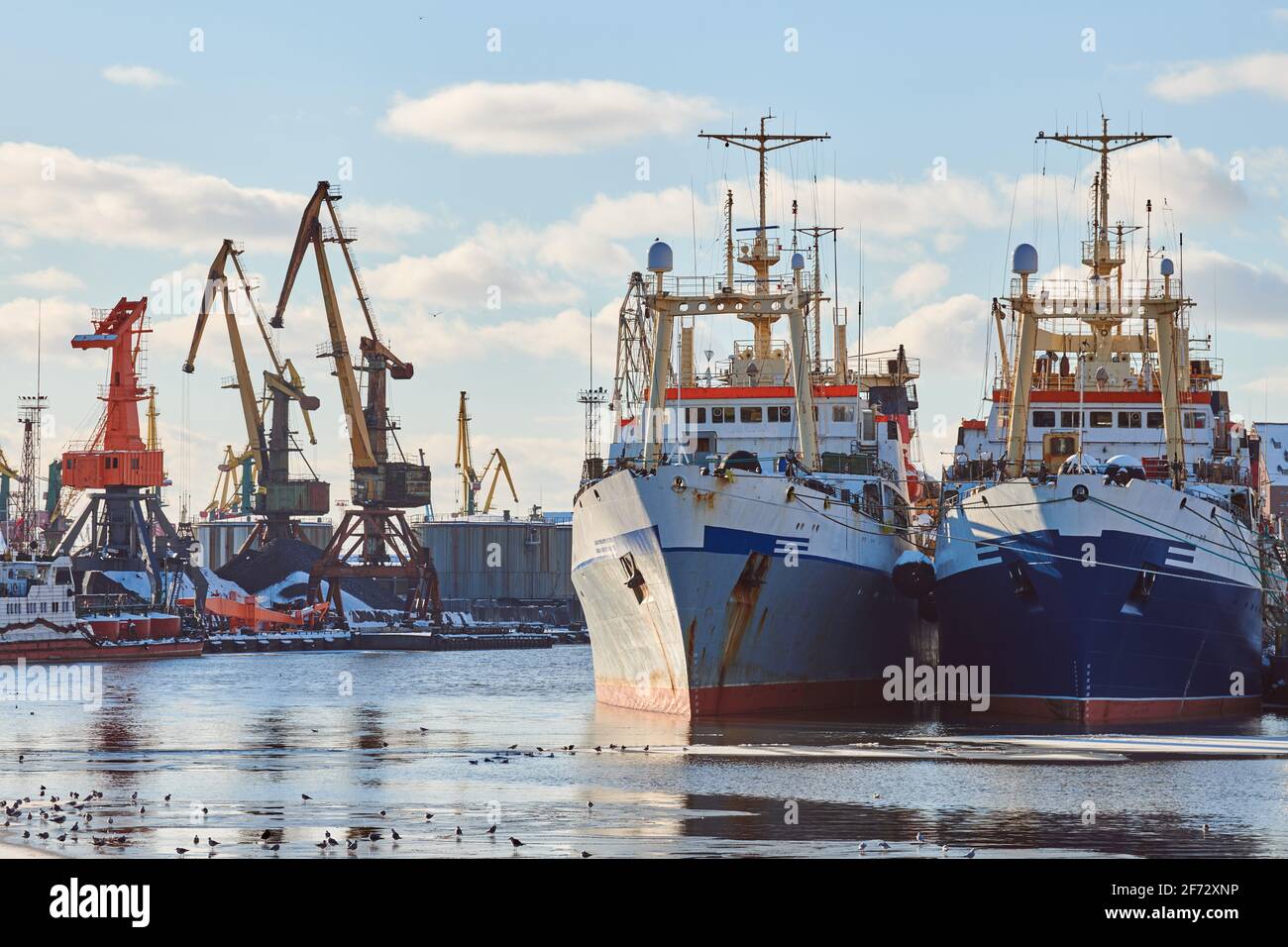 Moored cargo ships and harbor cranes in port. Seaport, cargo container ...
