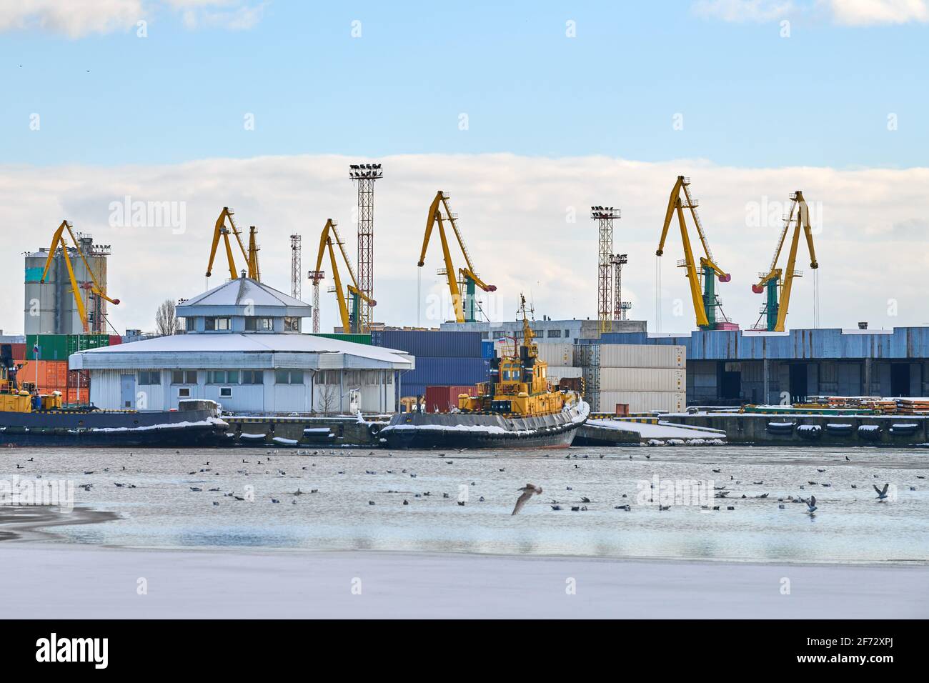 Moored cargo ships and harbor cranes in port. Seaport, cargo container ...