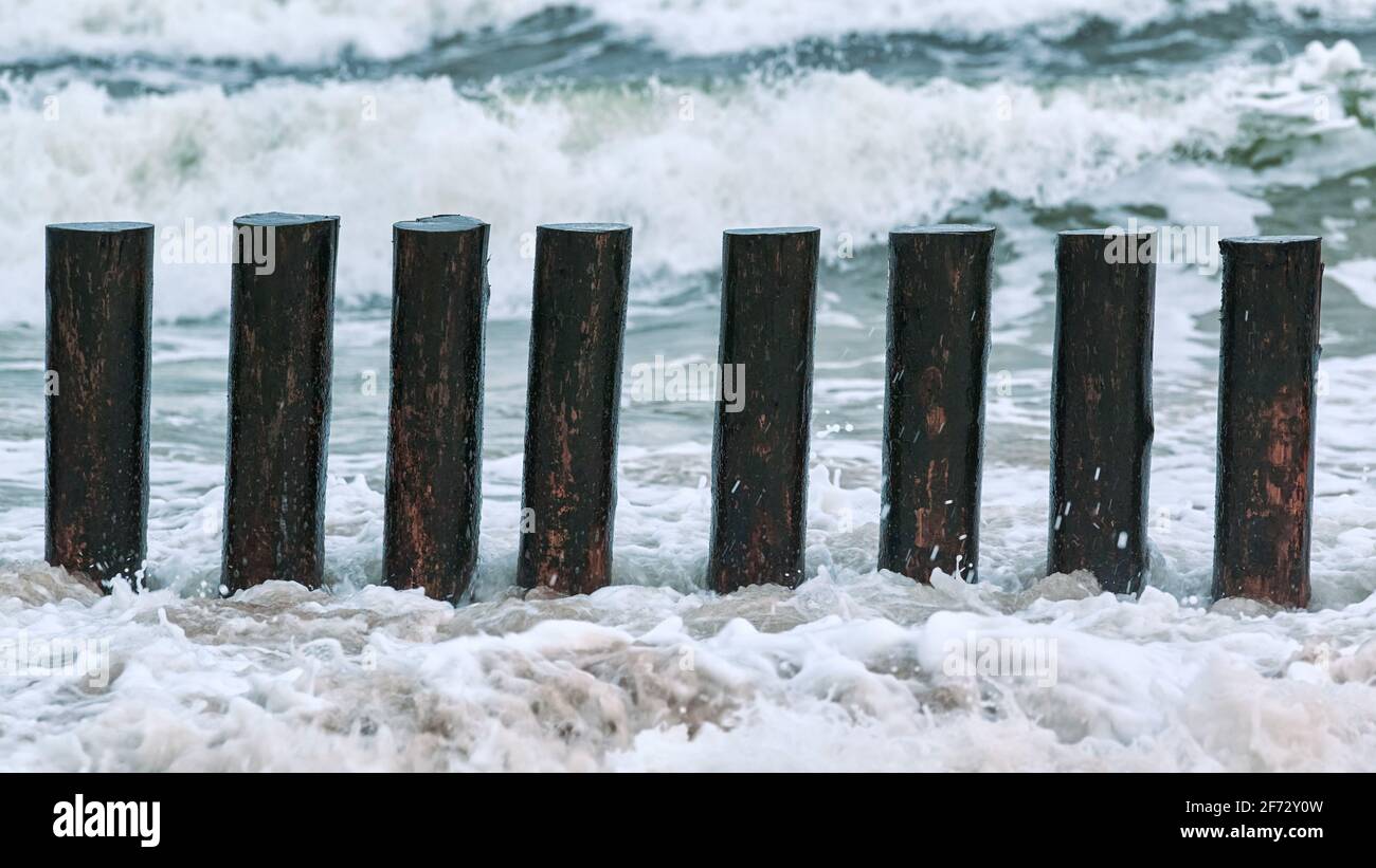High wooden breakwaters in blue foaming sea waves, close up view. Long ...