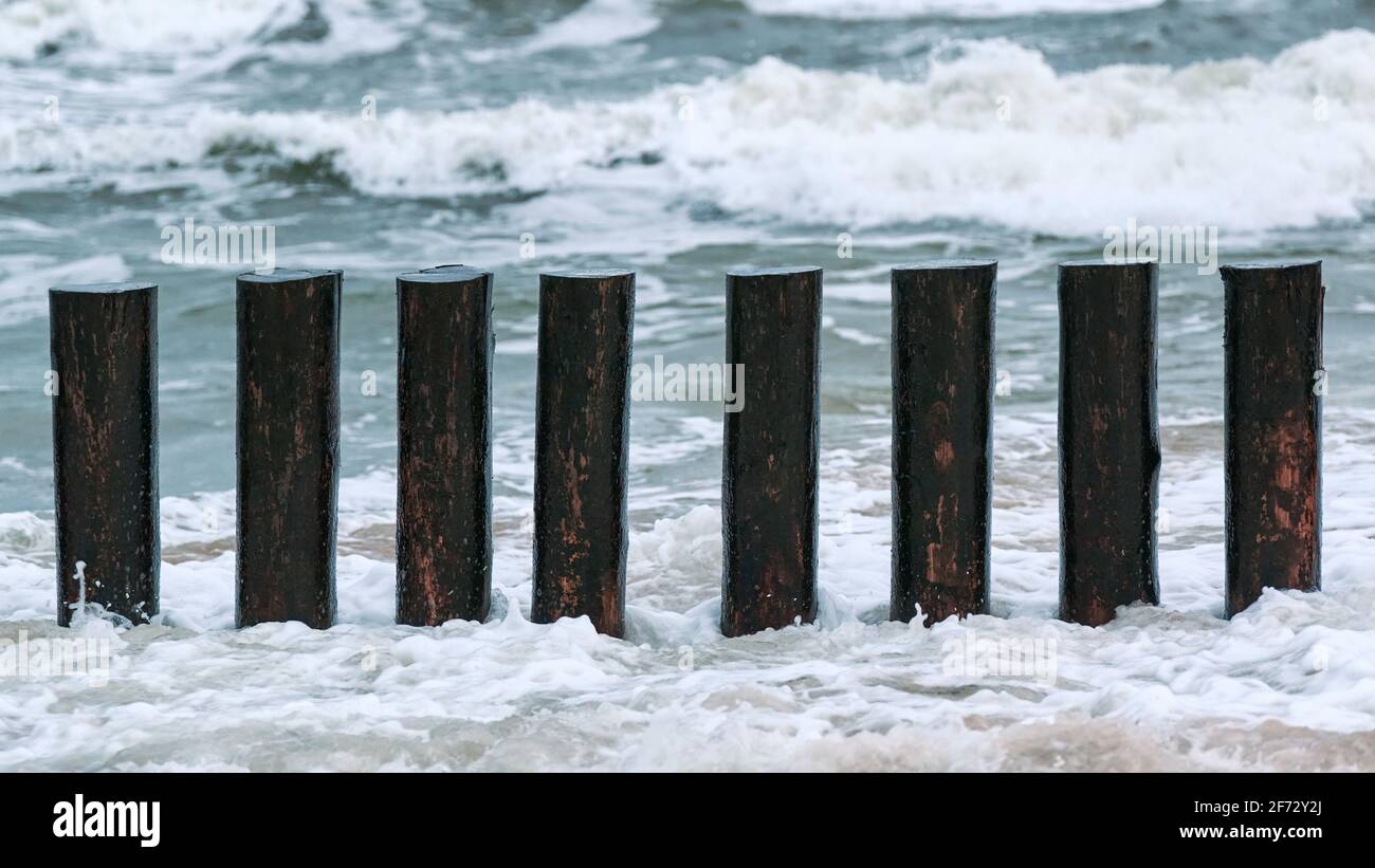 High wooden breakwaters in blue foaming sea waves, close up view. Long ...