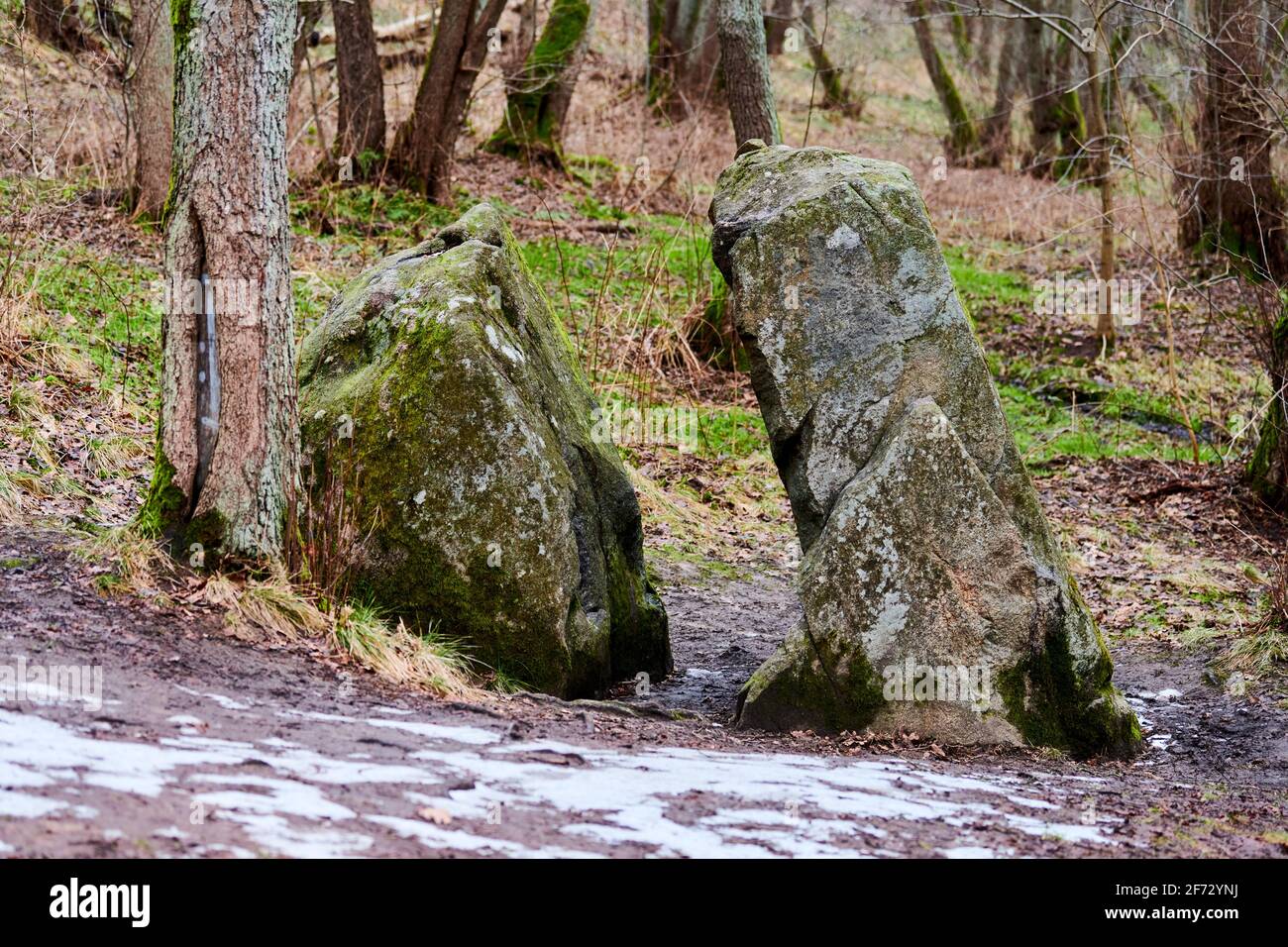 Amazing giant hemispherical stone split into two unequal parts and ...