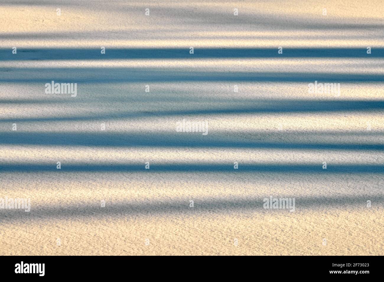 Abstract shadow lines on winter snow background. Pure snow lit by ...