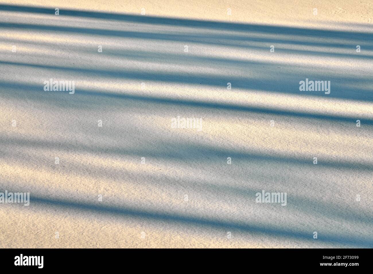 Abstract shadow lines on winter snow background. Pure snow lit by ...