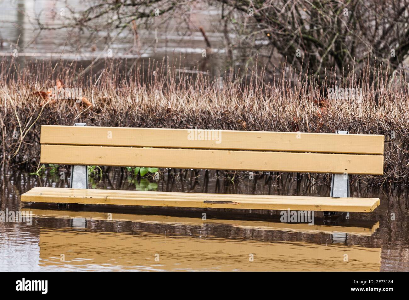 Bench flooded by the rain hi-res stock photography and images - Alamy