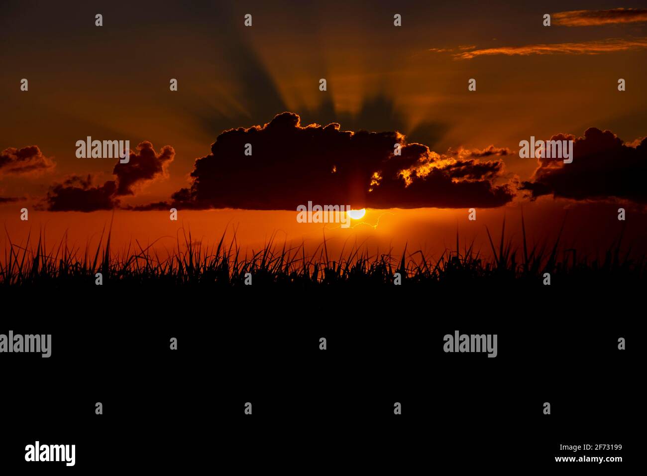 Beau bassin mauritius hi-res stock photography and images - Alamy