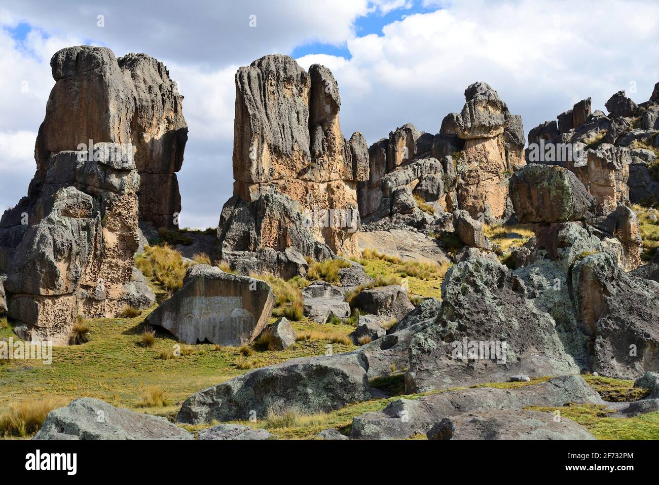 Stone forest hi-res stock photography and images - Alamy
