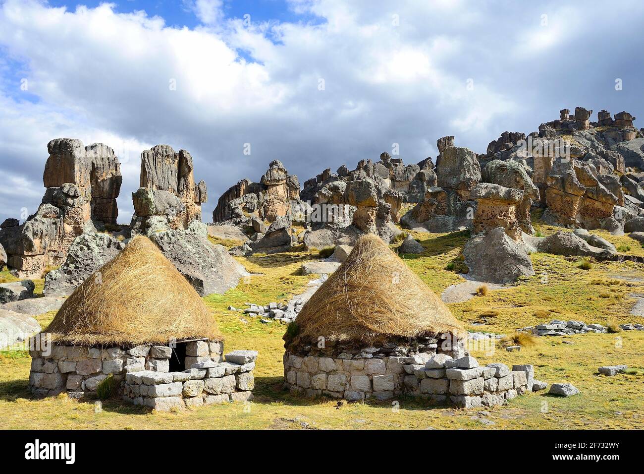 Bizarre rock formations in the Stone Forest, Junin Province, Peru Stock ...