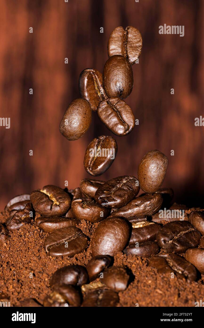 Coffee beans, Arabica coffee (Coffea arabica Stock Photo - Alamy