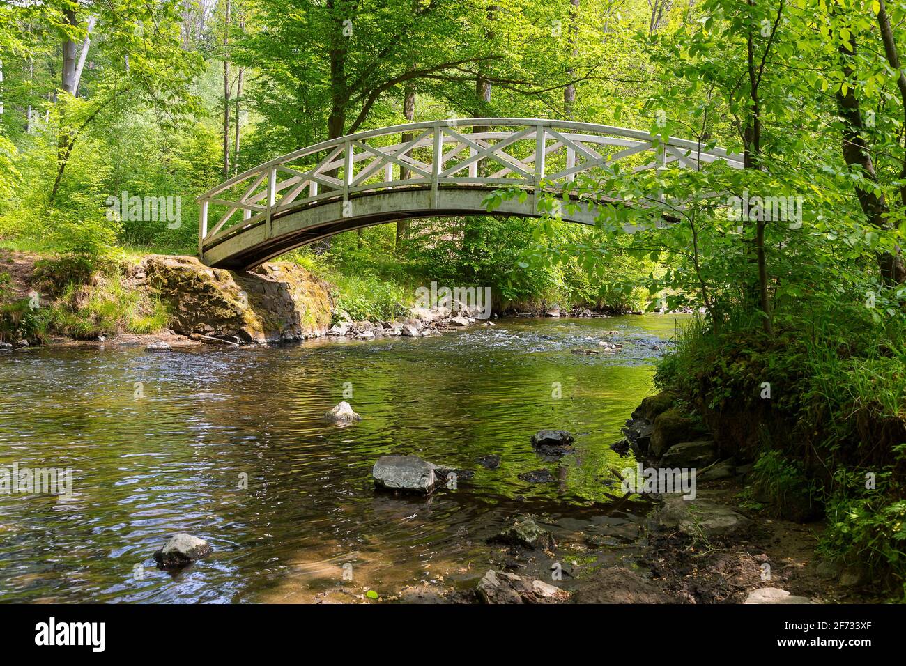 White arch bridge over the river Grosse Roeder, Seifersdorfer Tal ...