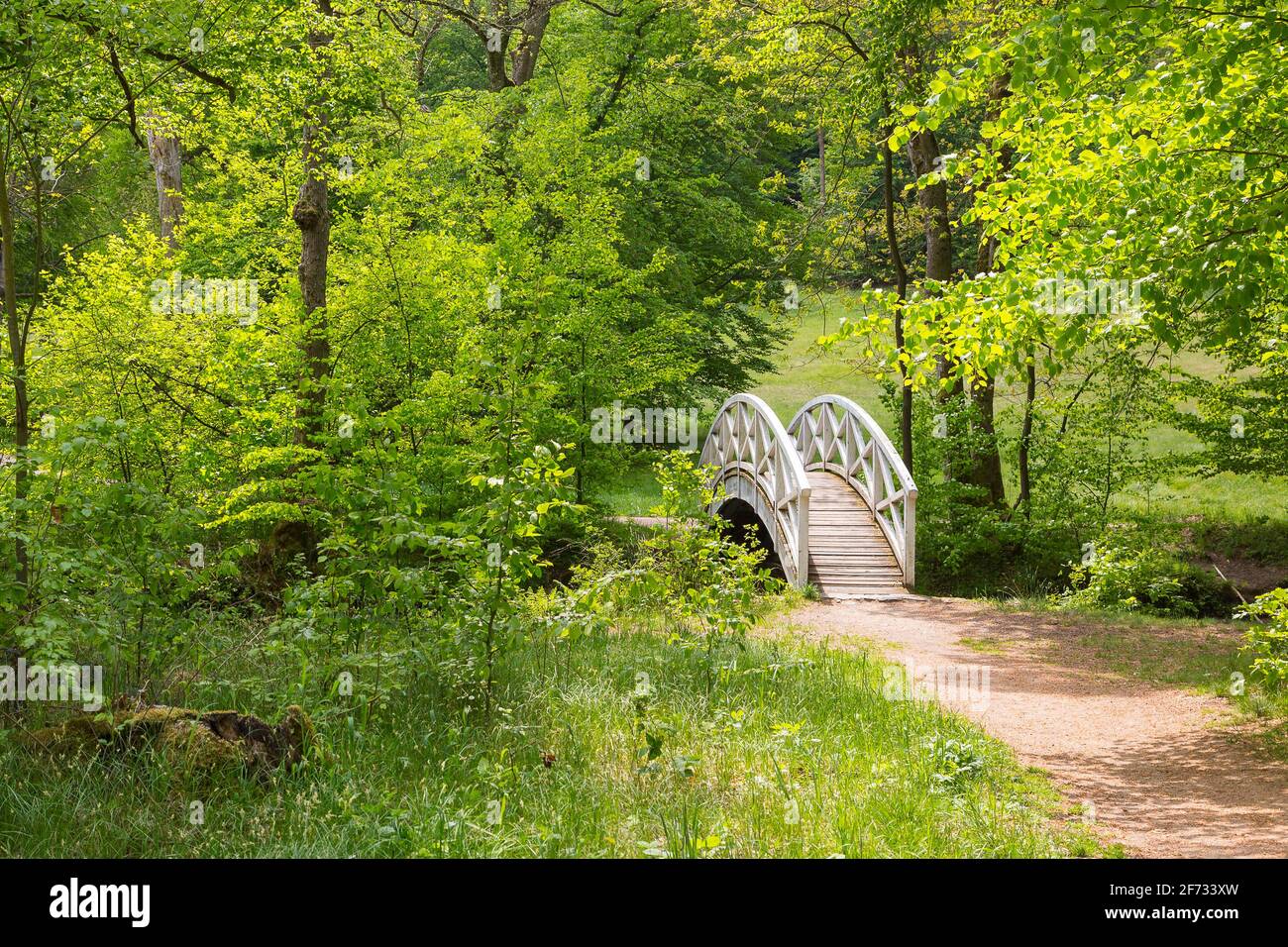 White arch bridge over the river Grosse Roeder, Seifersdorfer Tal ...