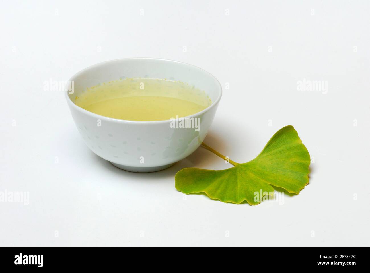 Ginkgo-Tea ( Ginkgo biloba) , Maidenhair tree Stock Photo - Alamy