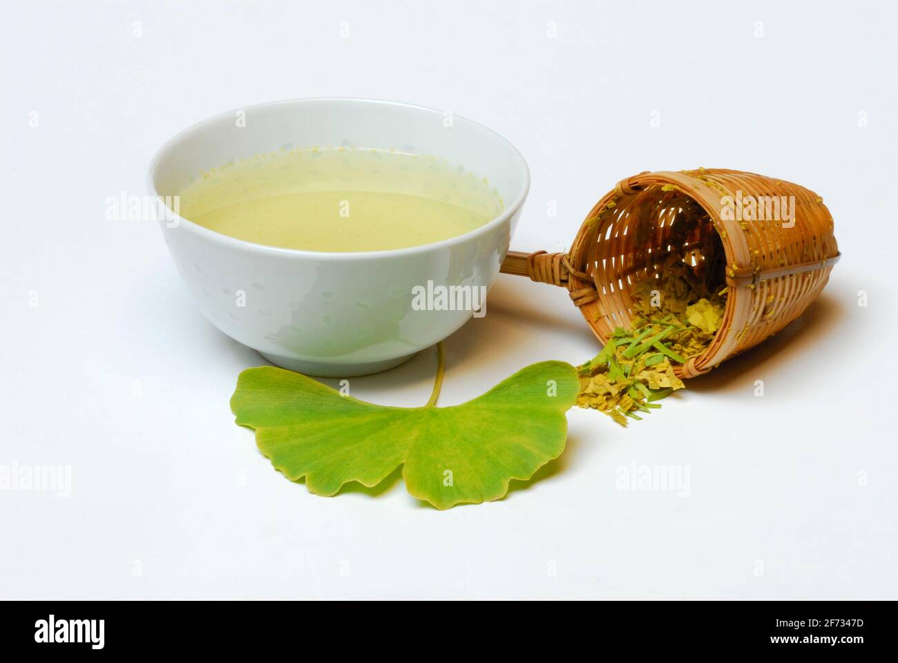 Ginkgo-tea ( Ginkgo biloba) , Maidenhair tree, tea strainer Stock Photo ...