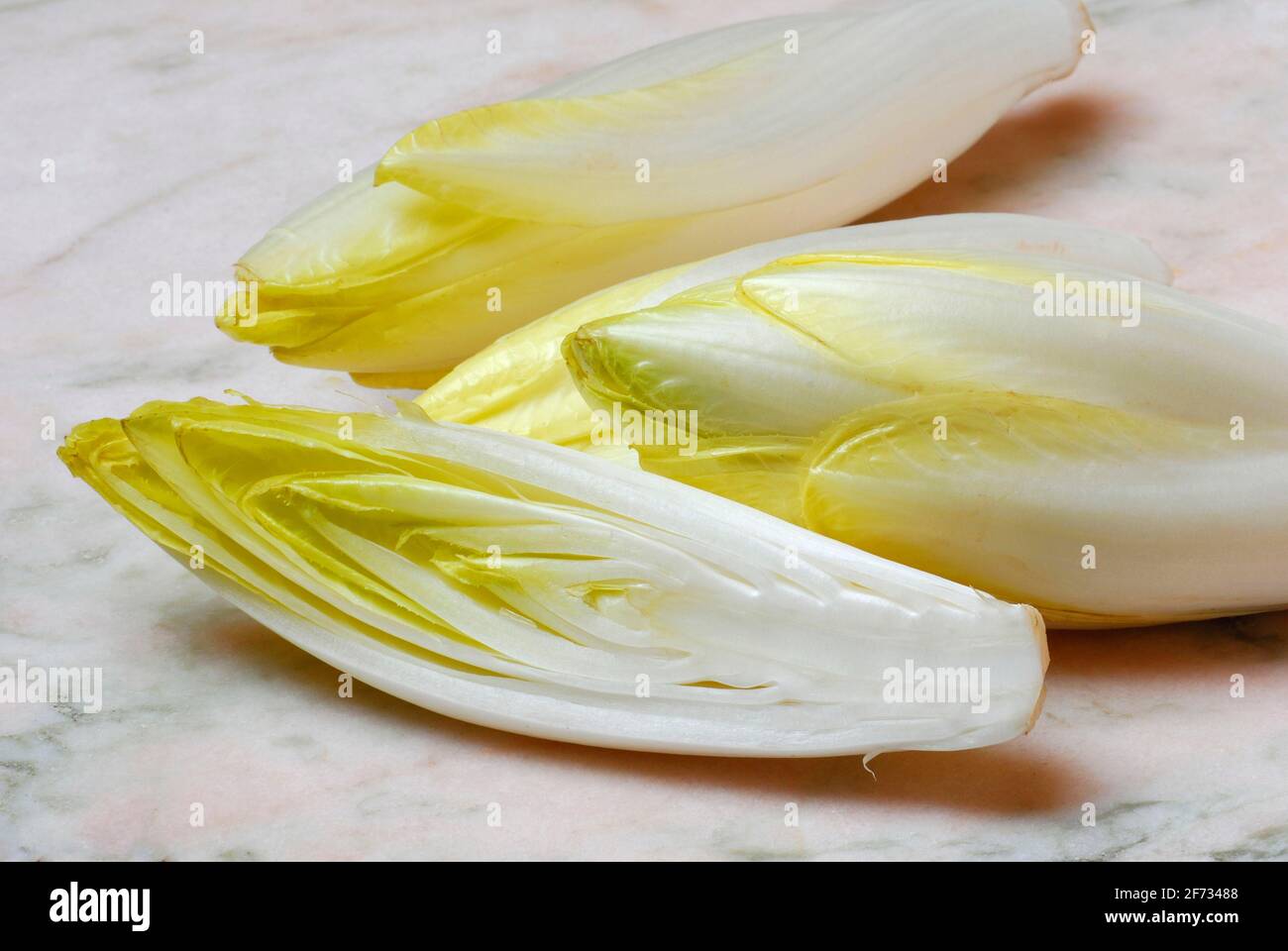 Chicory, cut in half ( Cichorium intybus foliosum Stock Photo - Alamy