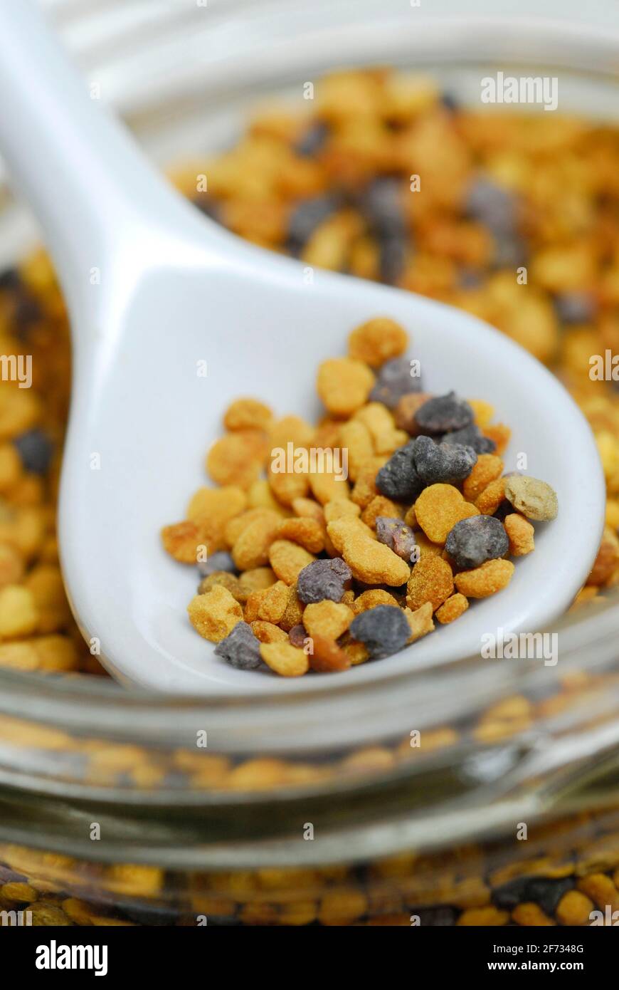 Propolis, flower pollen, bee resin, bee putty resin, putty resin, putty ...