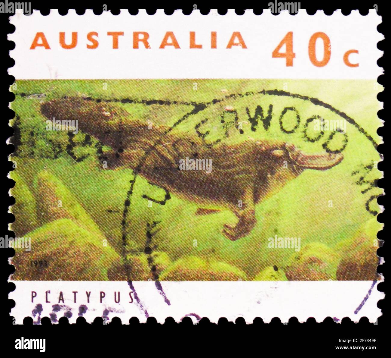 Platypus australia postage stamp hi-res stock photography and images ...