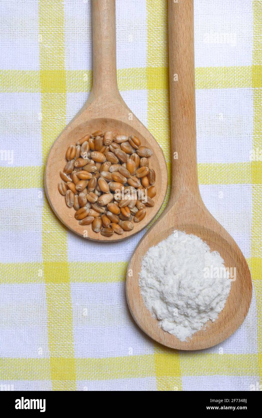 Wheat, grains, flour ( Triticum aestivum) , flour, cooking spoon ...