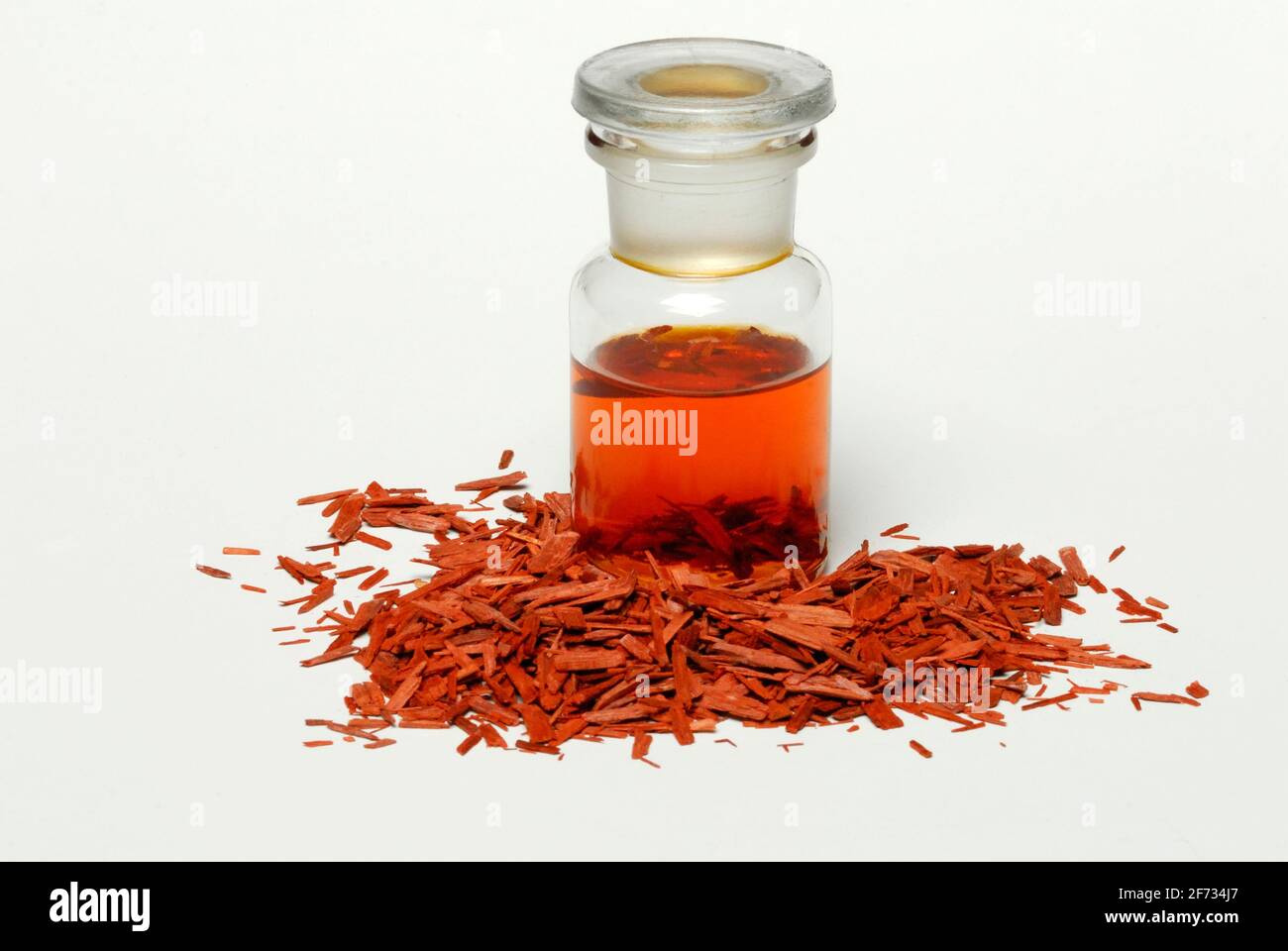 Pterocarpus santalinus (Pterocarpus santalinus) sandalwood tree, potash ...