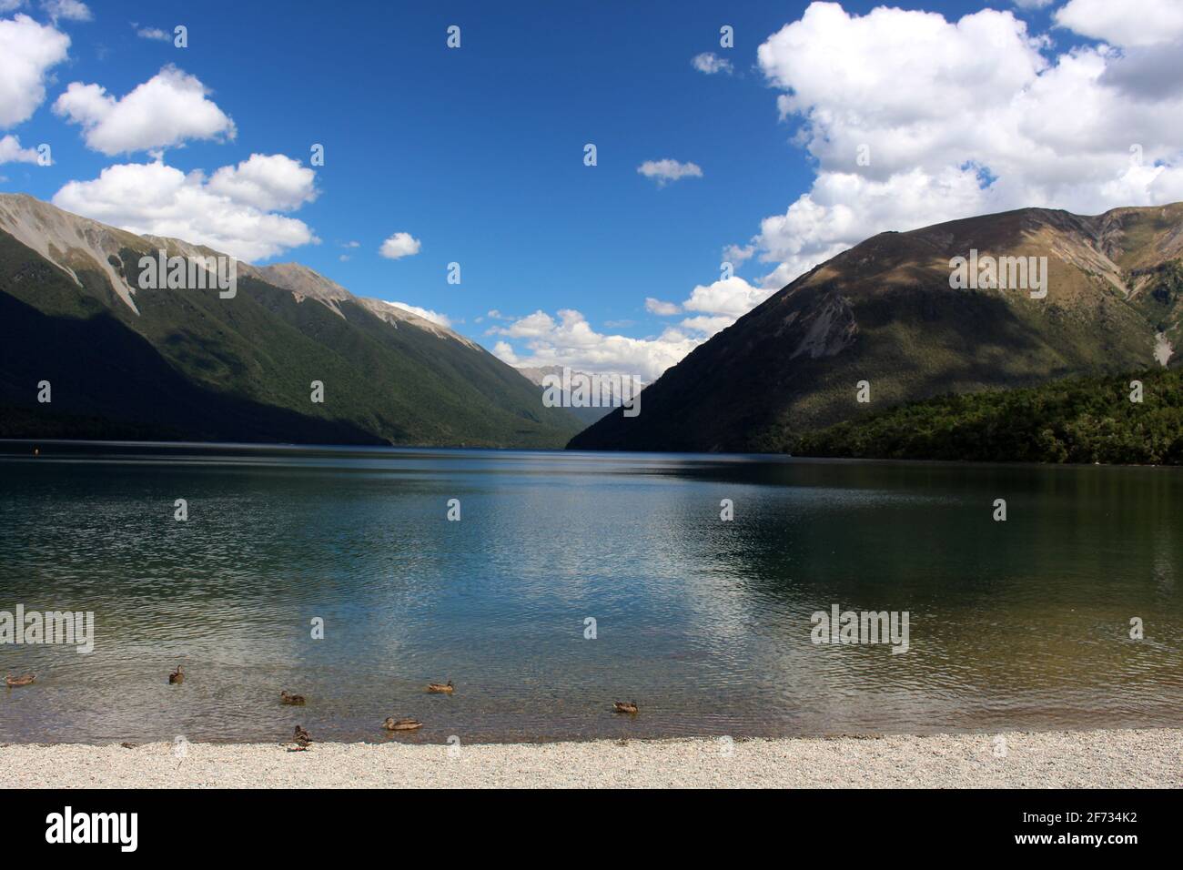 Lake Rotoroa in Nelson Lakes National Park, New Zealand Stock Photo - Alamy