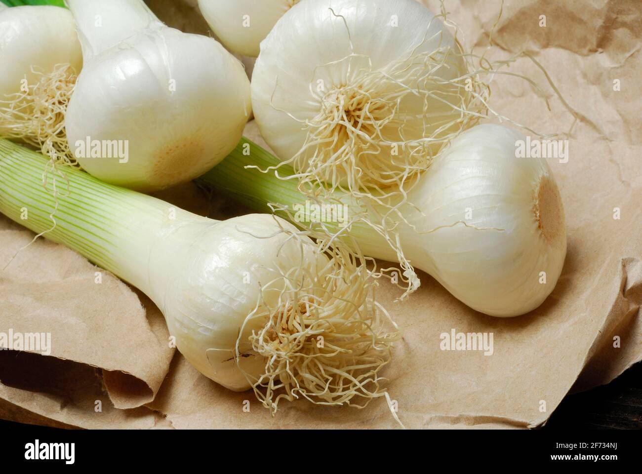 Onion, spring onions, spring onions Stock Photo - Alamy