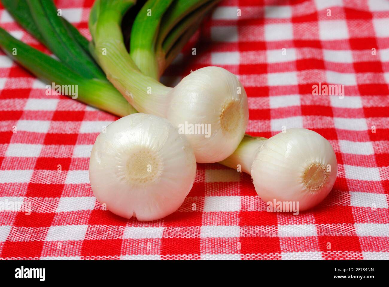 Onion, spring onions, spring onions Stock Photo - Alamy