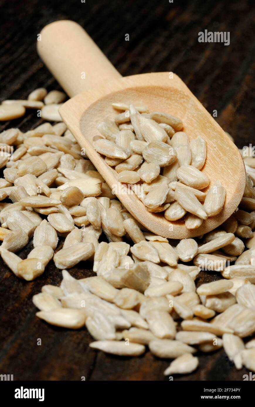 Sunflower seeds, kernels, seeds, seedlings, hulled, sunflower Stock ...