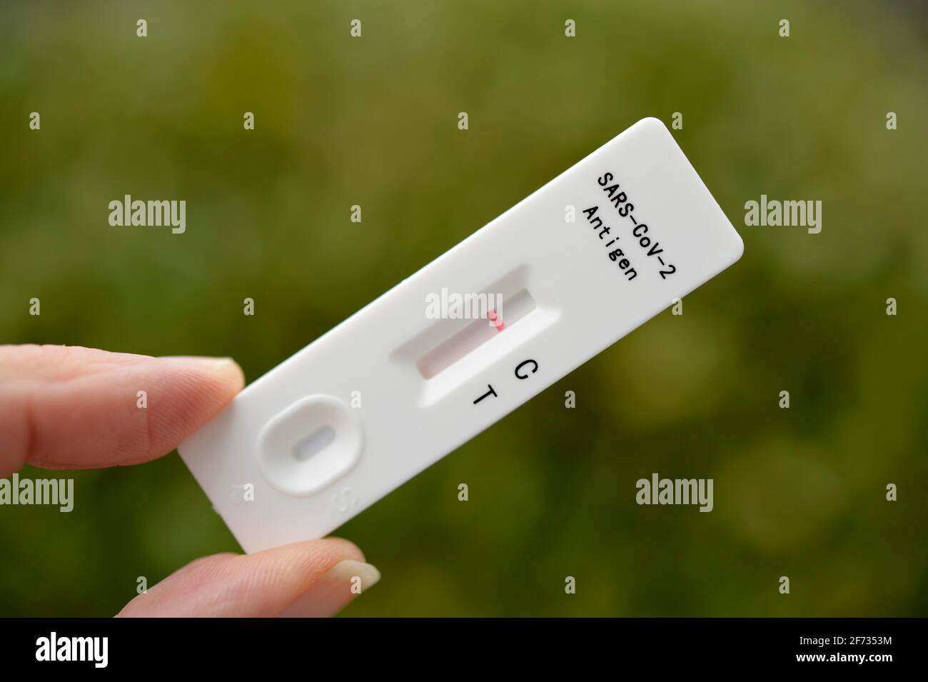 Negative Antigen Rapid Test, Test Cassette, Corona Crisis, Germany ...