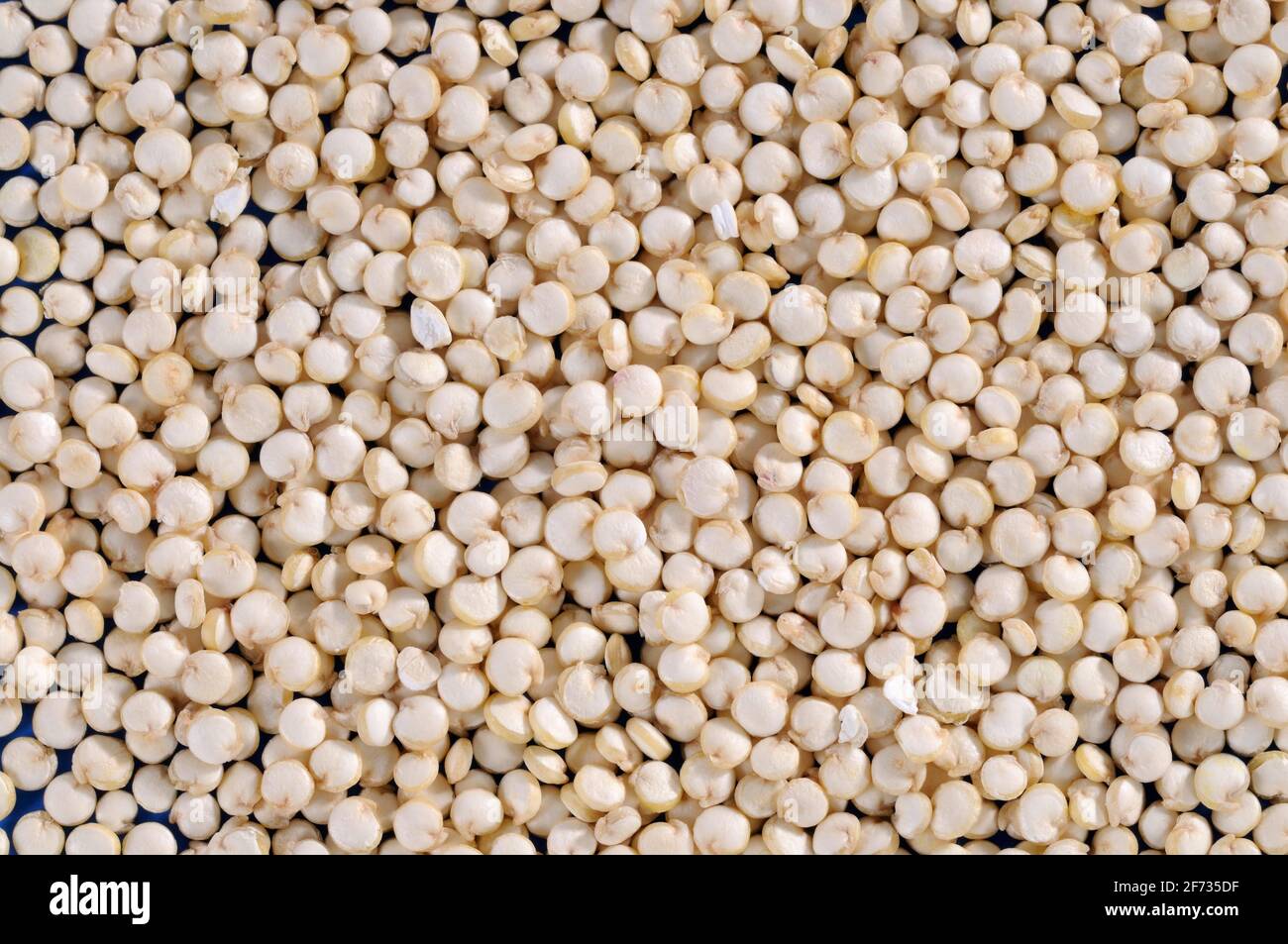 Quinoa, Inca rice, rice report, Inca grain, rice spinach, Quinoa ...