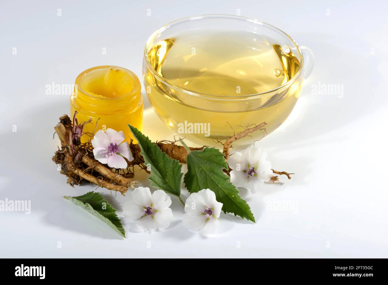 Cup (Althea officinalis) marshmallow root tea, marshmallow, roots ...