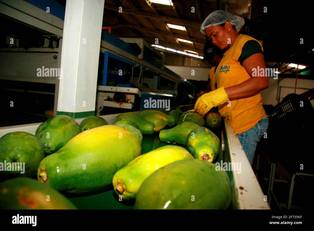 Mucuri hi-res stock photography and images - Alamy