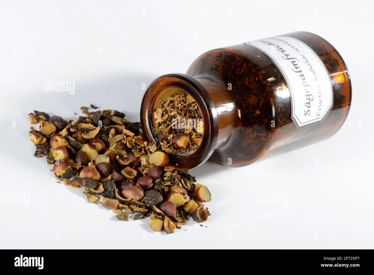 Saw palmettos (Serenoa repens) (Sabal serrulata) (Fructus Sabalae ...