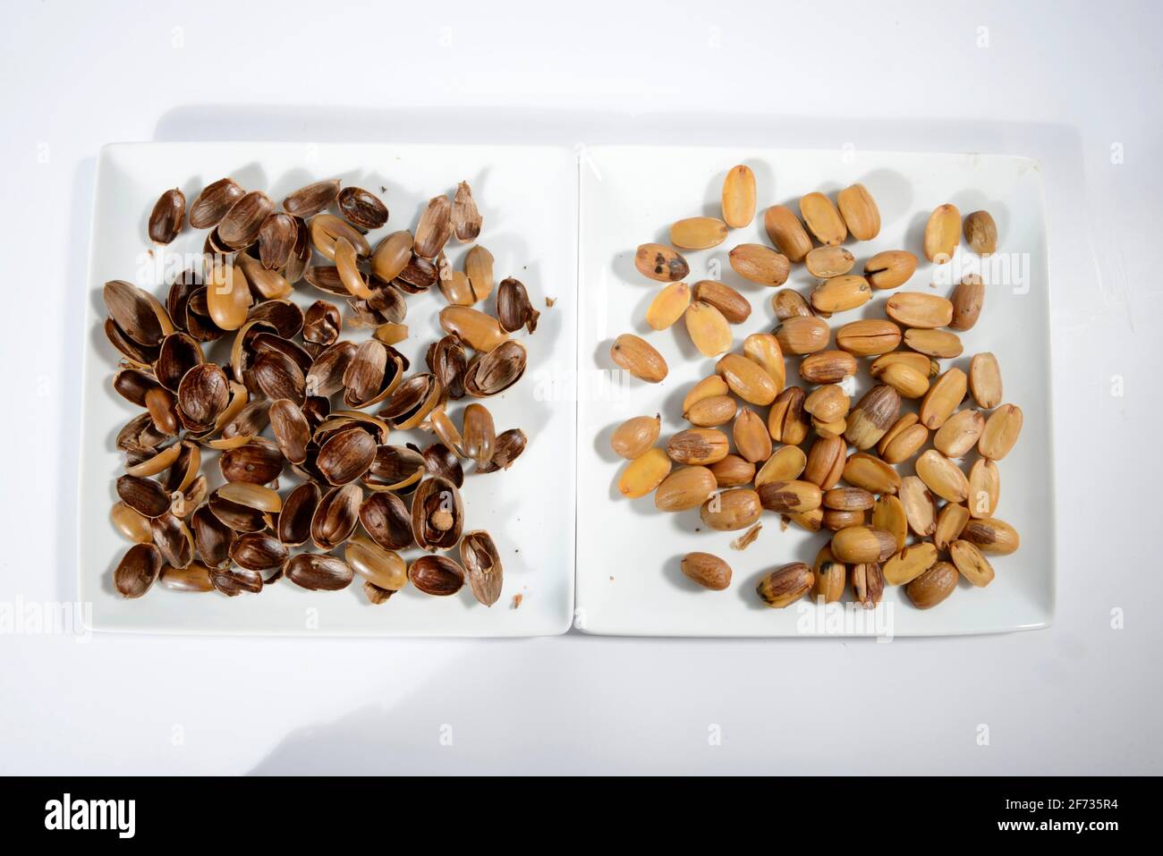 Acorns roasted, English oak, summer oak (Quercus robur), roasted ...