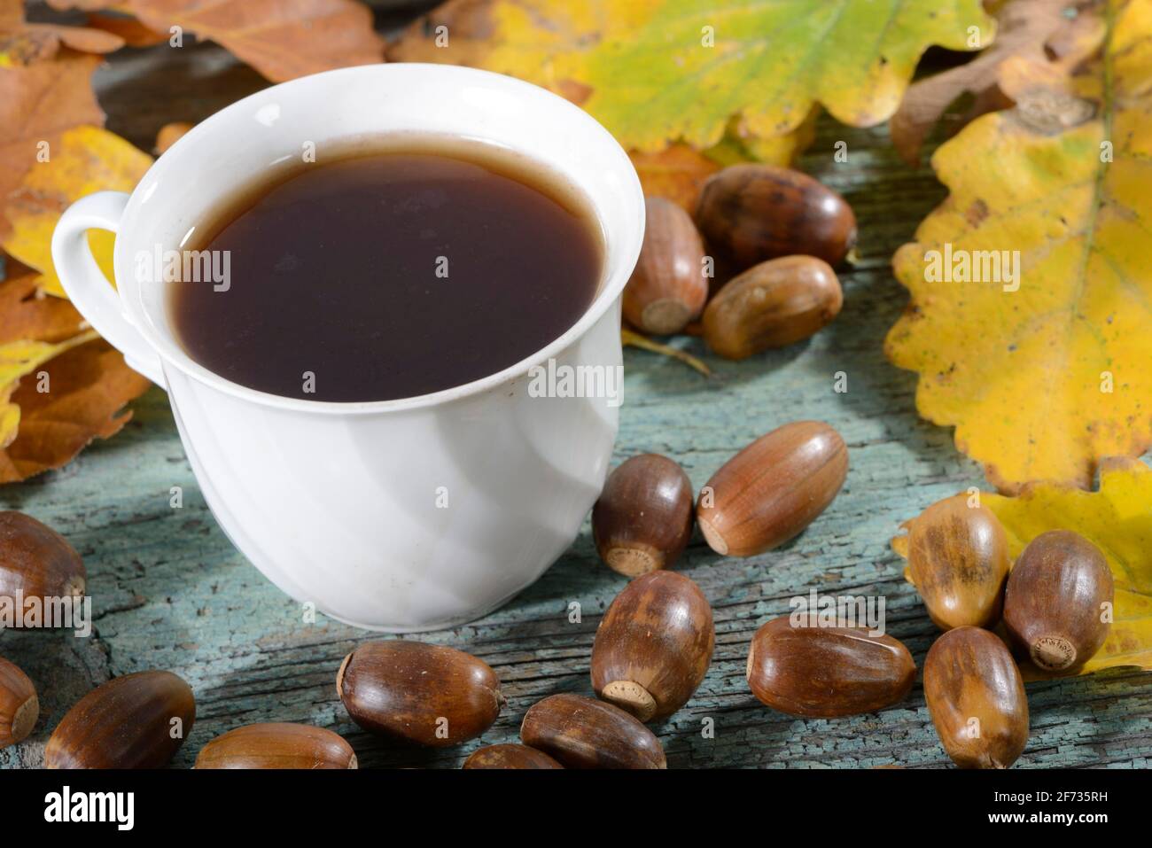 Acorn coffee, English oak, English oak (Quercus robur), cup Stock Photo ...