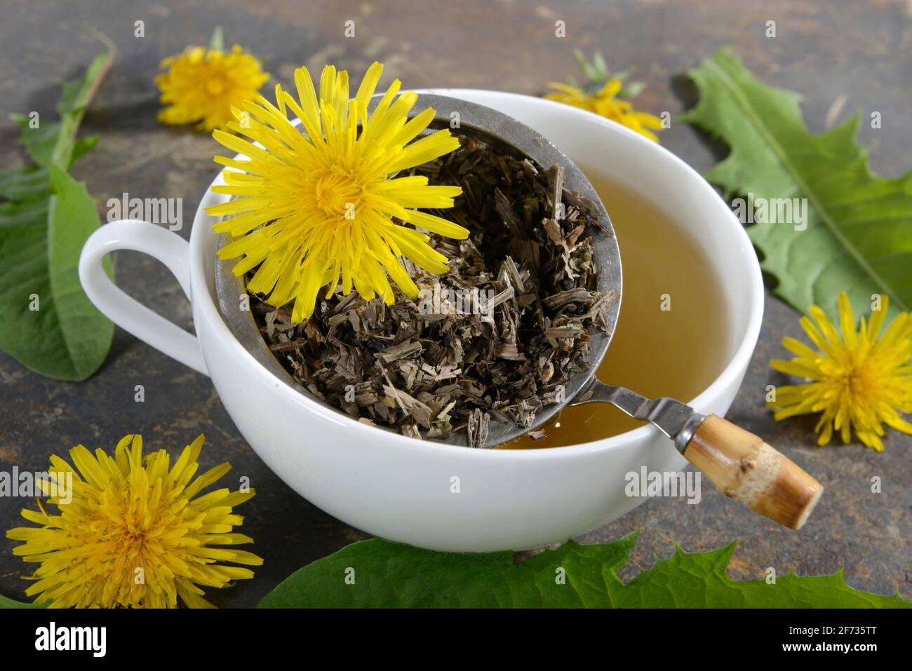 Cup dandelion tea (Taraxacum officinale), dandelion, buttercup, cow ...