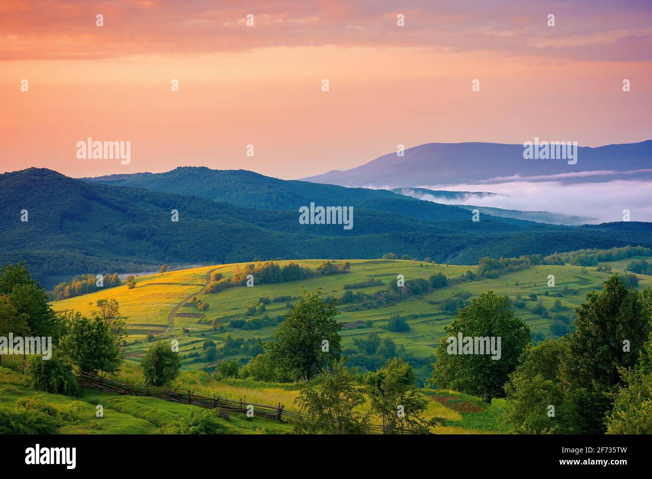 mountainous rural landscape at dawn. trees and agricultural fields on ...