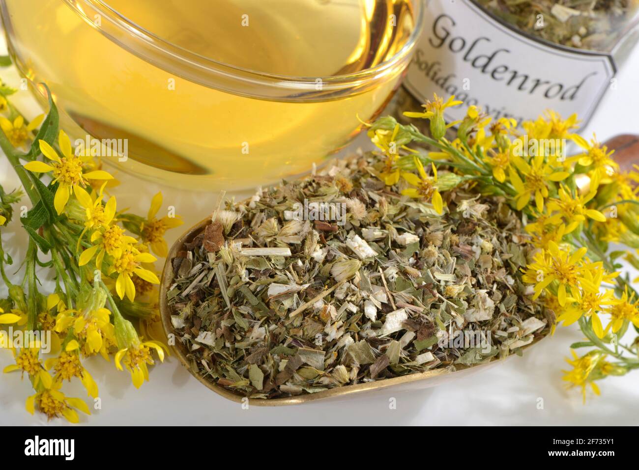 Real goldenrod hi-res stock photography and images - Alamy