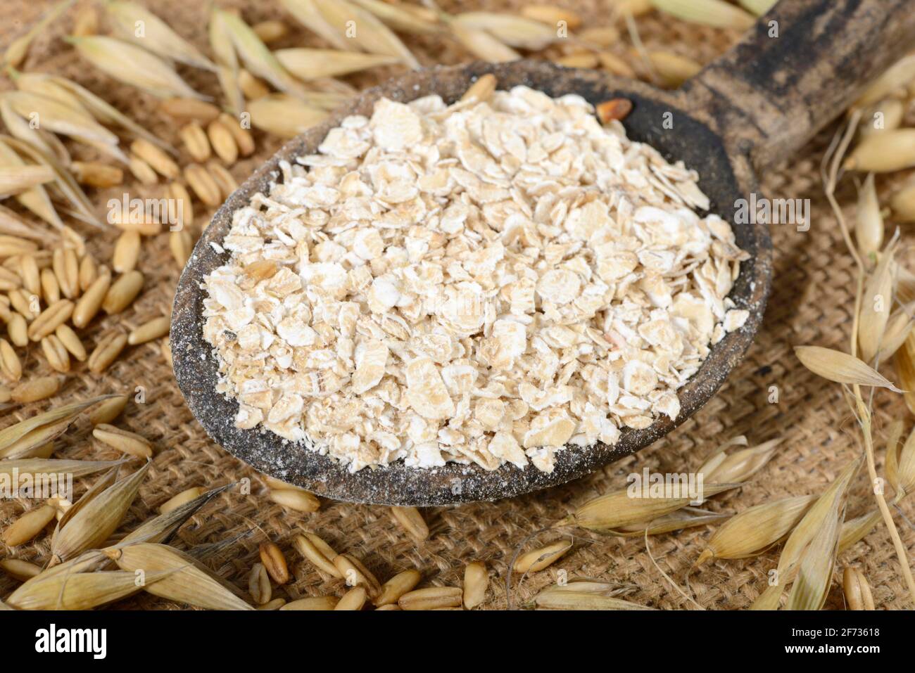 Common oatmeal hi-res stock photography and images - Alamy