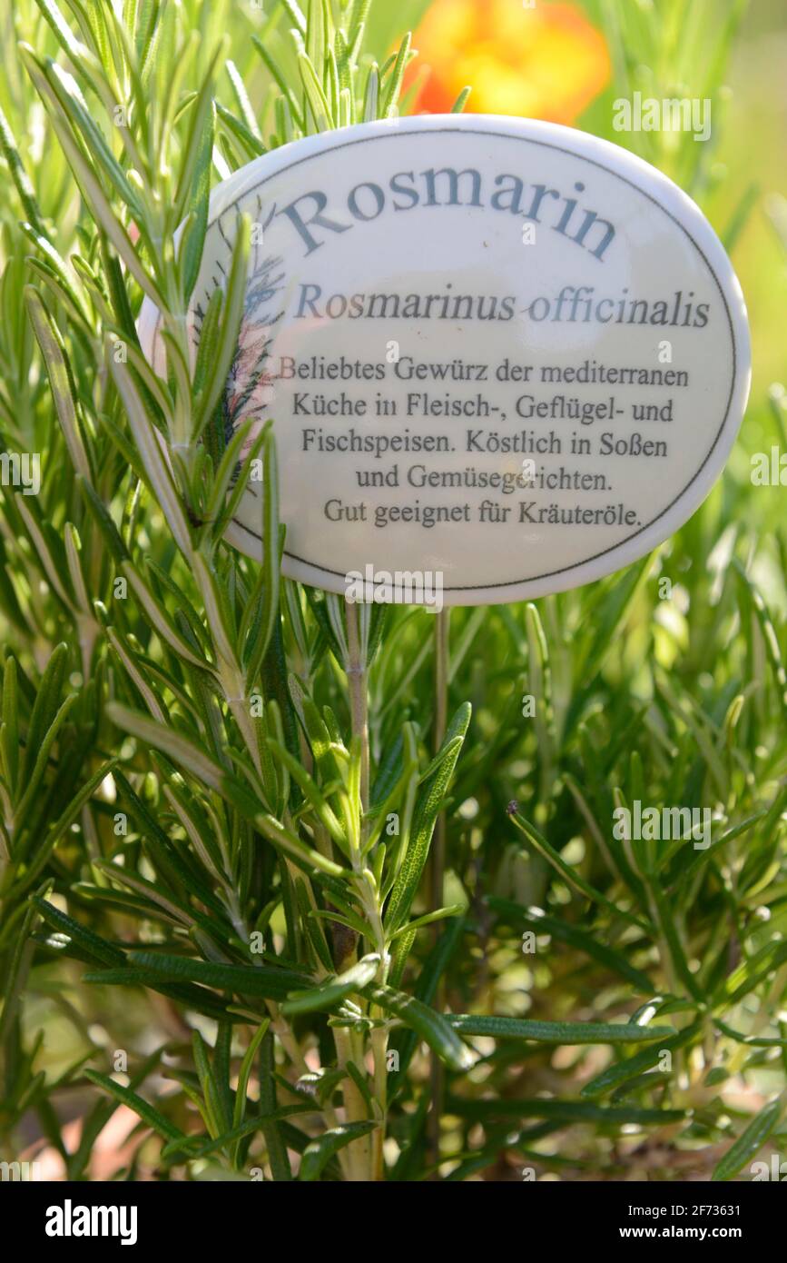 Rosemary herb garden sign hi-res stock photography and images - Alamy