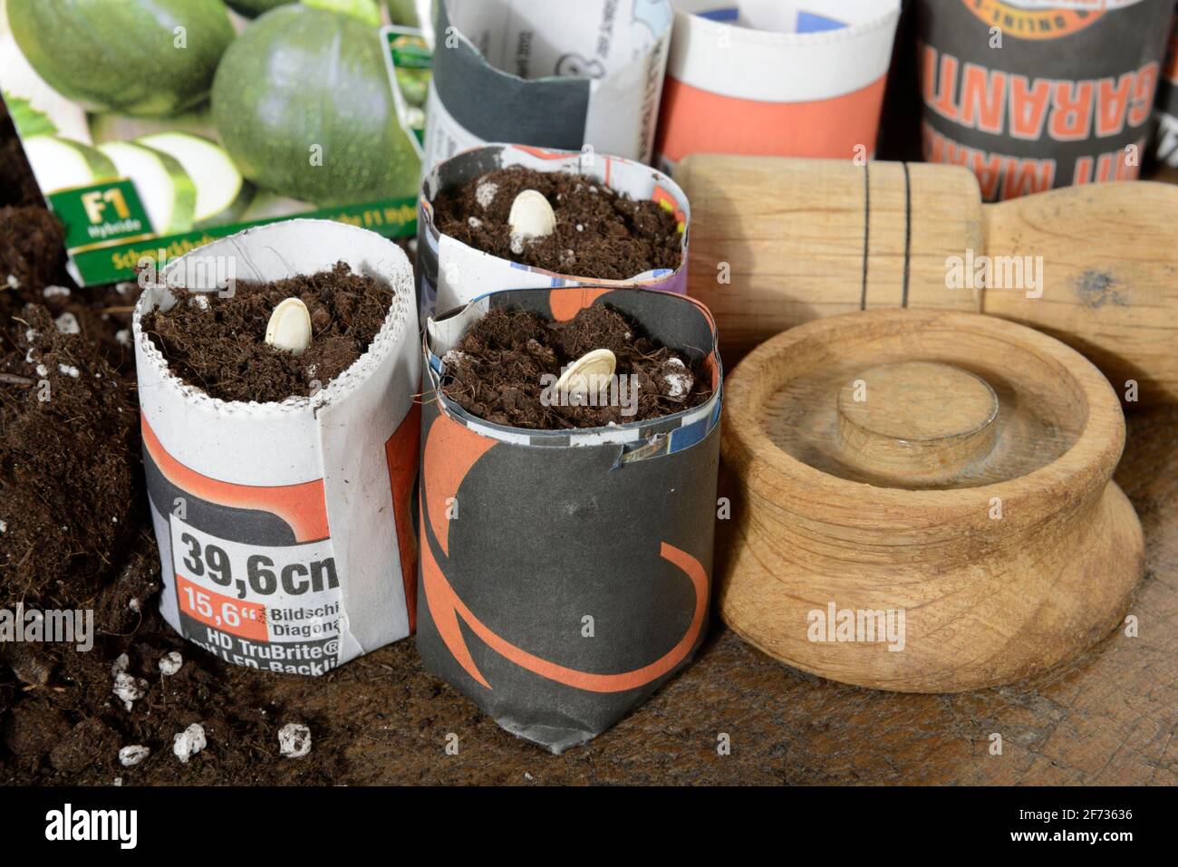 Production paper plant pot, potting soil Stock Photo - Alamy