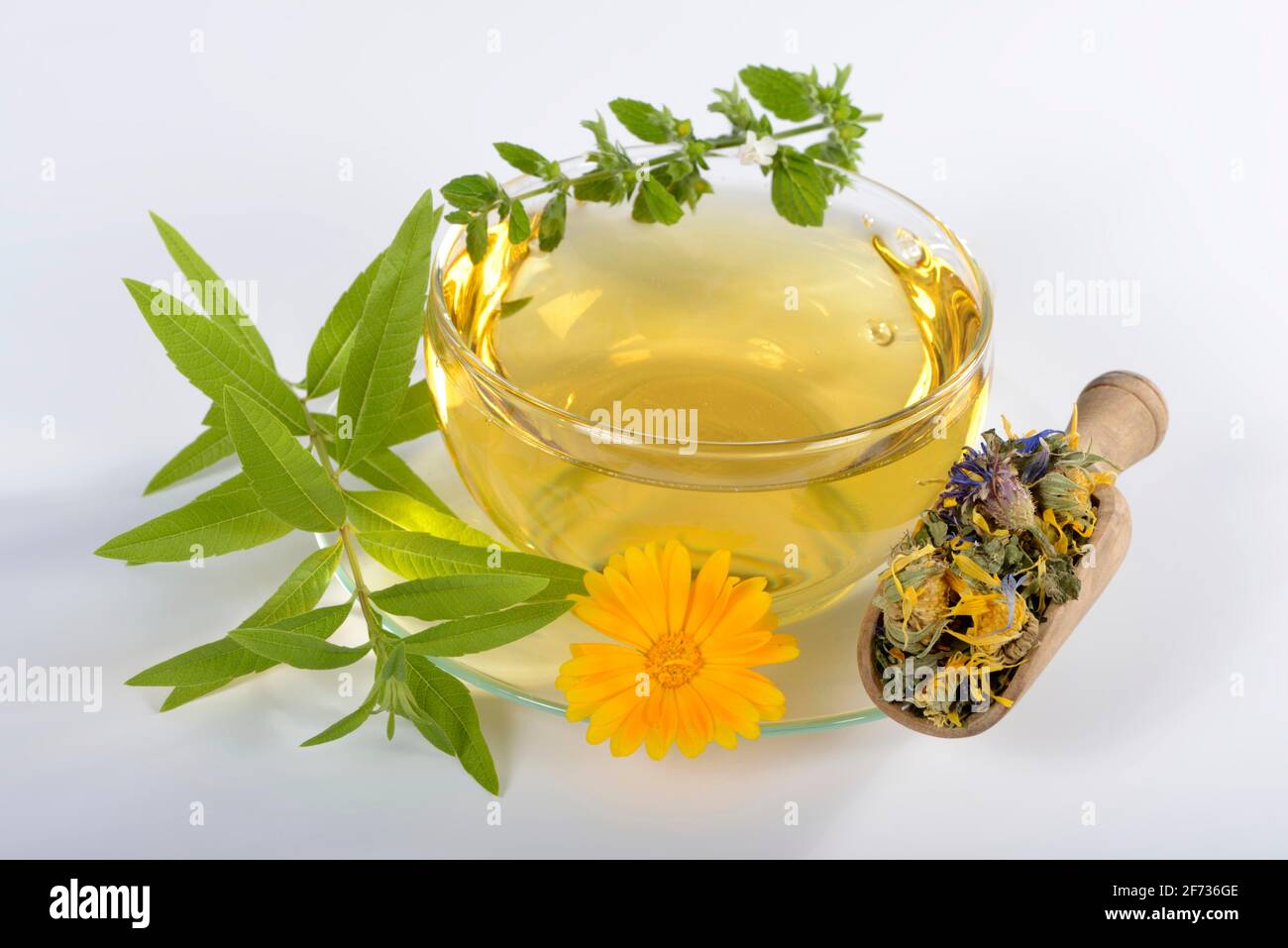 Cup herbal tea, calendula (Calendula officinalis), lemon balm (Melissa ...