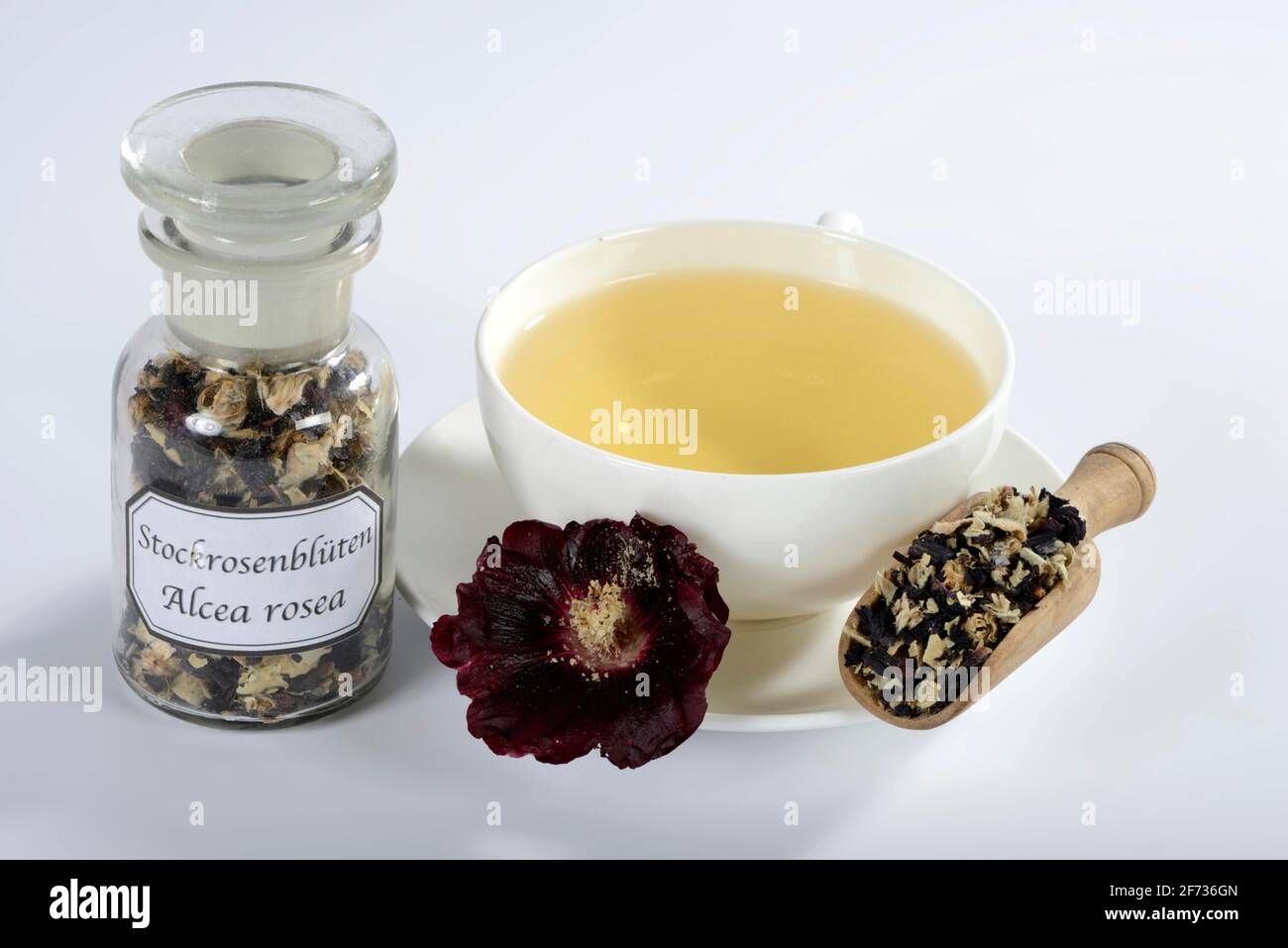 Alcea rosea nigra (Alcea rosea nigra), cup of hollyhock tea Stock Photo ...