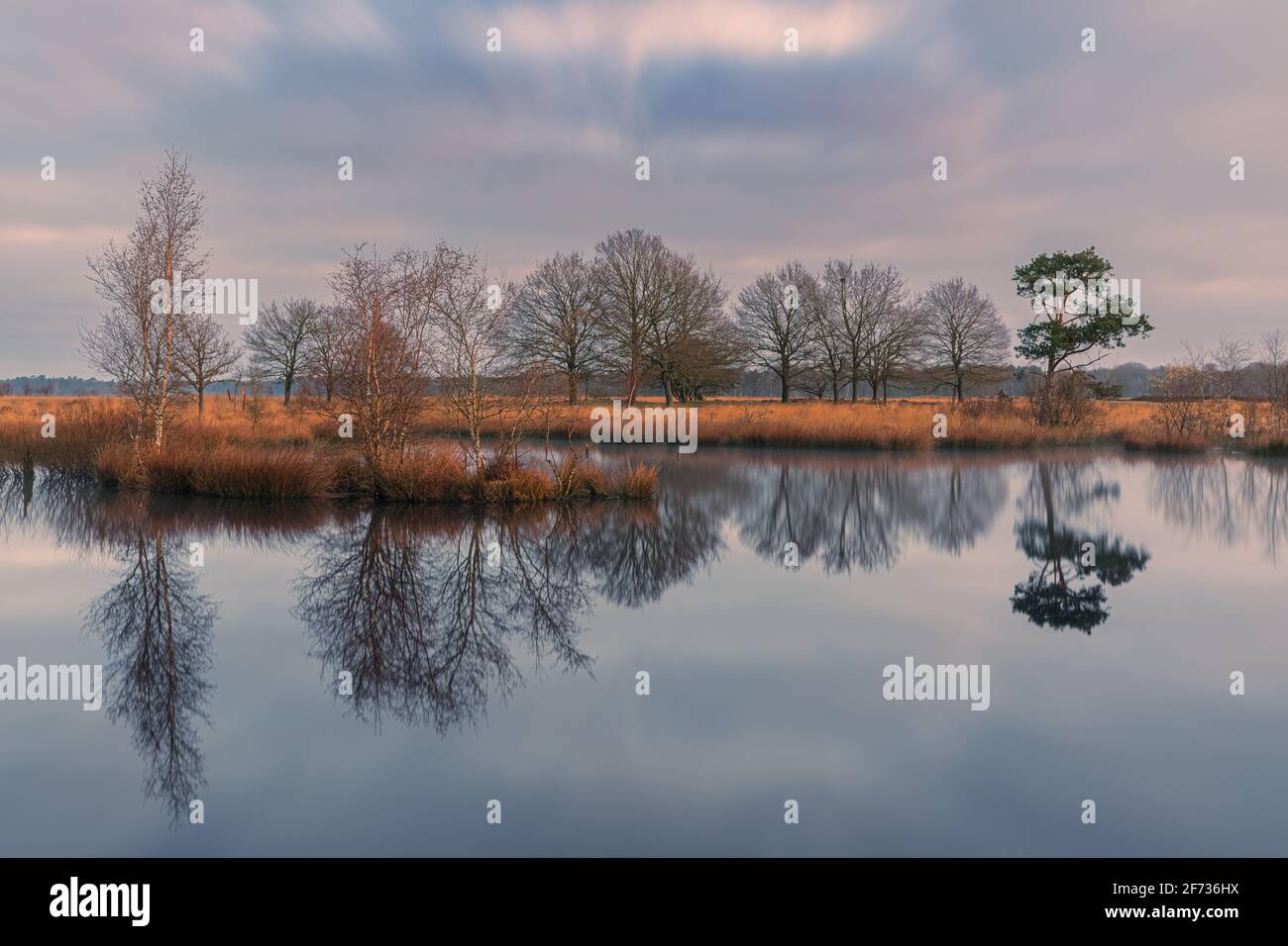 Dwingelderveld national park hi-res stock photography and images - Alamy
