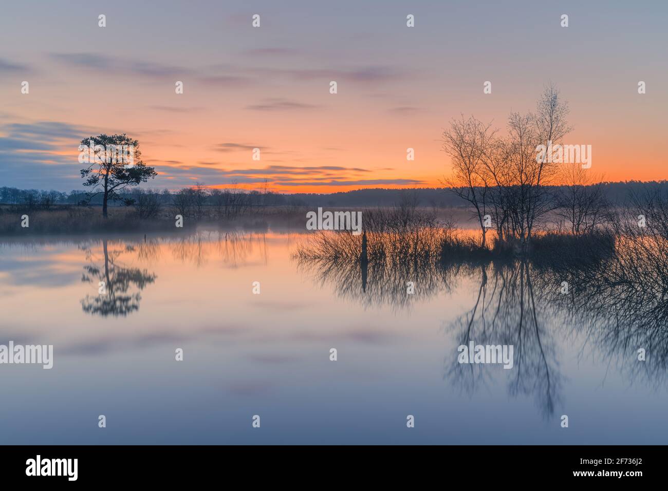 Dwingelderveld national park hi-res stock photography and images - Alamy