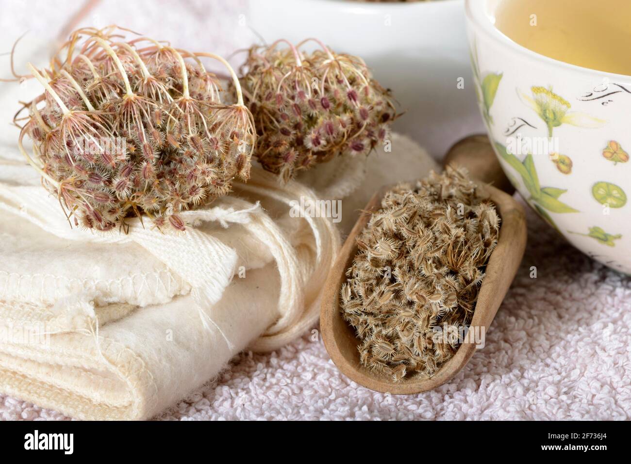 Carrot seed tea hi-res stock photography and images - Alamy