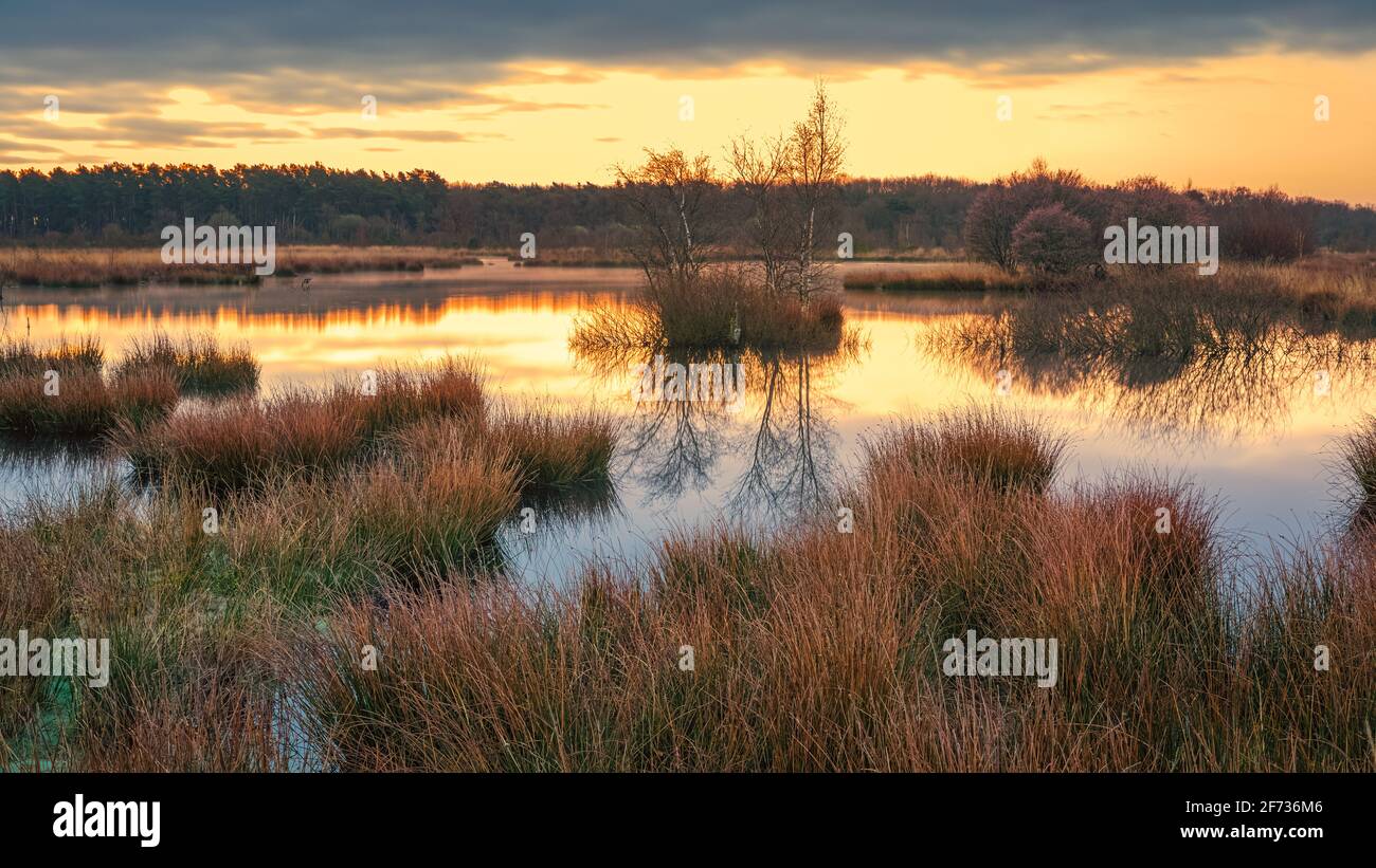 Dwingelderveld national park hi-res stock photography and images - Alamy