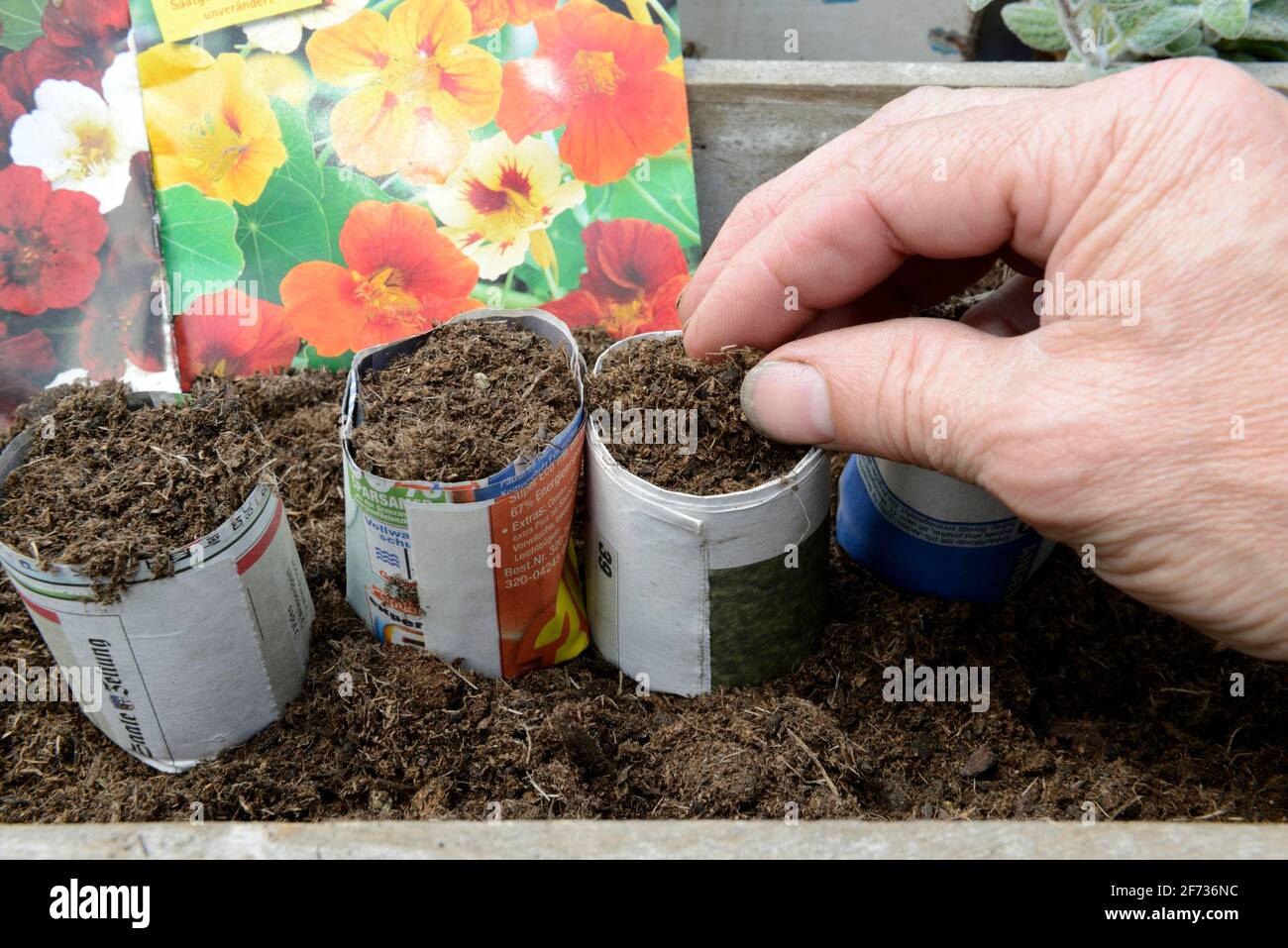 Paper pot seed hi-res stock photography and images - Alamy