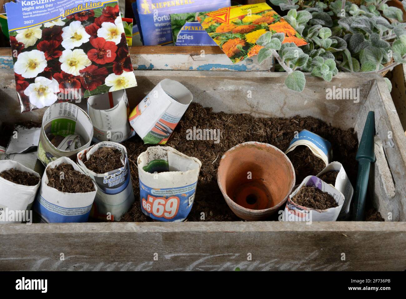 Paper pot, paper pot Stock Photo - Alamy