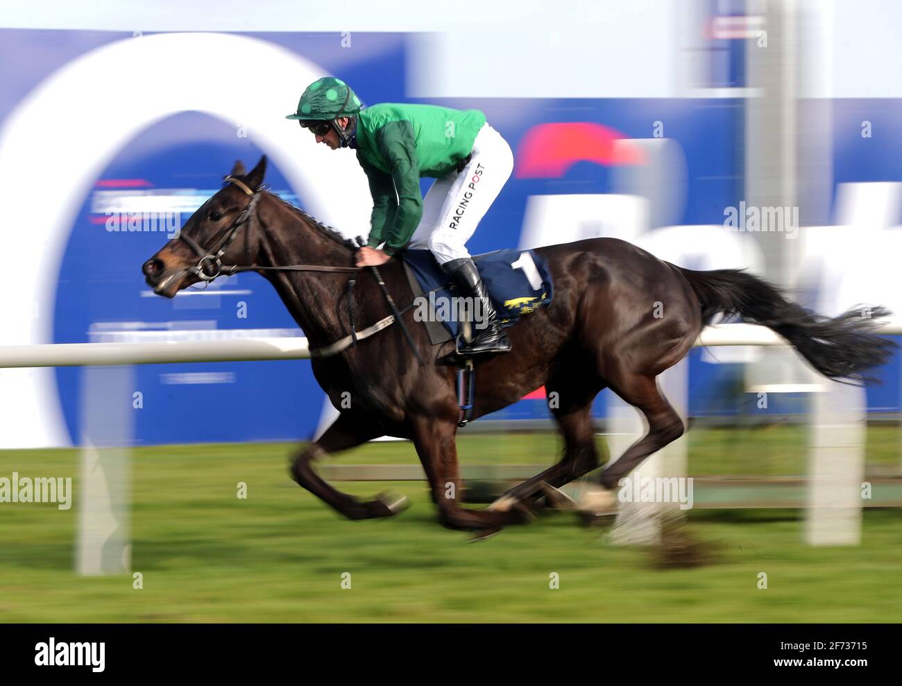 Dark raven horse hi-res stock photography and images - Alamy